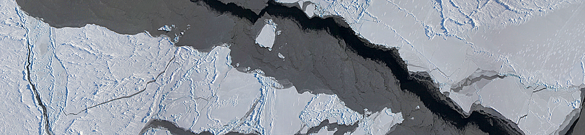 DMS mosaic of sea ice in the Beaufort Sea | ESD Publications
